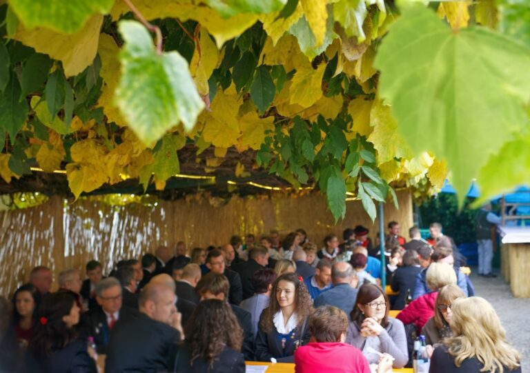 Discover the Merano Grape Festival: A Sweet Harvest Celebration in the ...