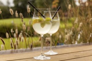 Hugo Spritz: 5 Easy Steps to Pure Cocktail Bliss
