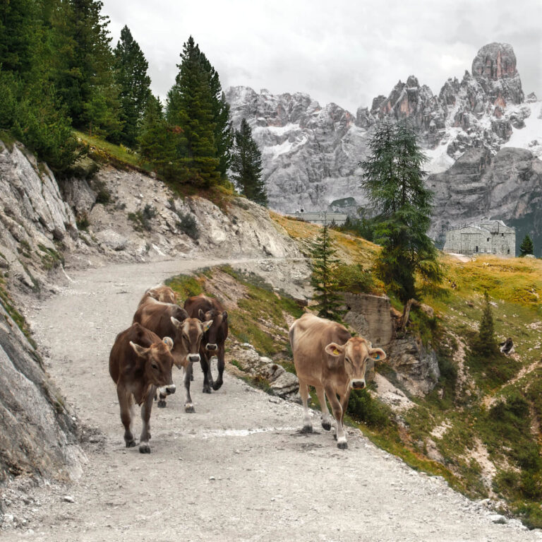 Prato Piazza: Your Guide to Hiking Plätzwiese