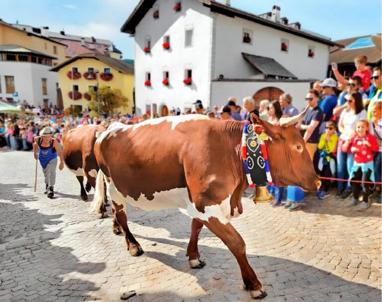 Almabtrieb in the Alps: A Riot of Revelry in South Tyrol