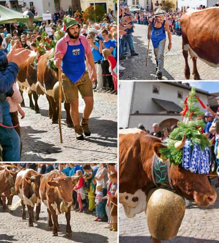 Almabtrieb in the Alps: A Riot of Revelry in South Tyrol