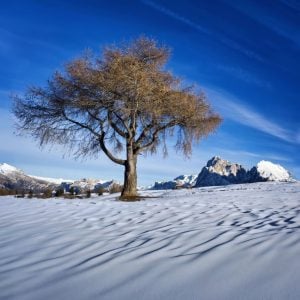 Dolomites in Winter: 12 Must-Do Experiences Beyond Skiing